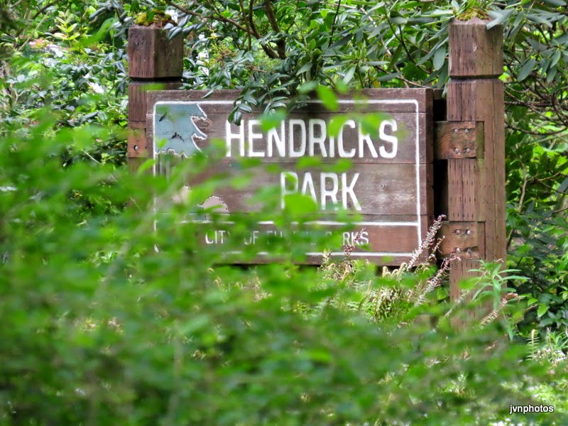 Photos by Jan: A Few Flowers from Hendricks Park