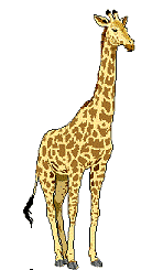 Animation Bundle: Giraffe Animated Pictures and Giraffe Gifs 20 ...