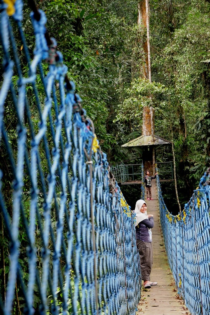 Camping with Kids: Trekking Gunung Halimun, di Citalahab Cikaniki ...