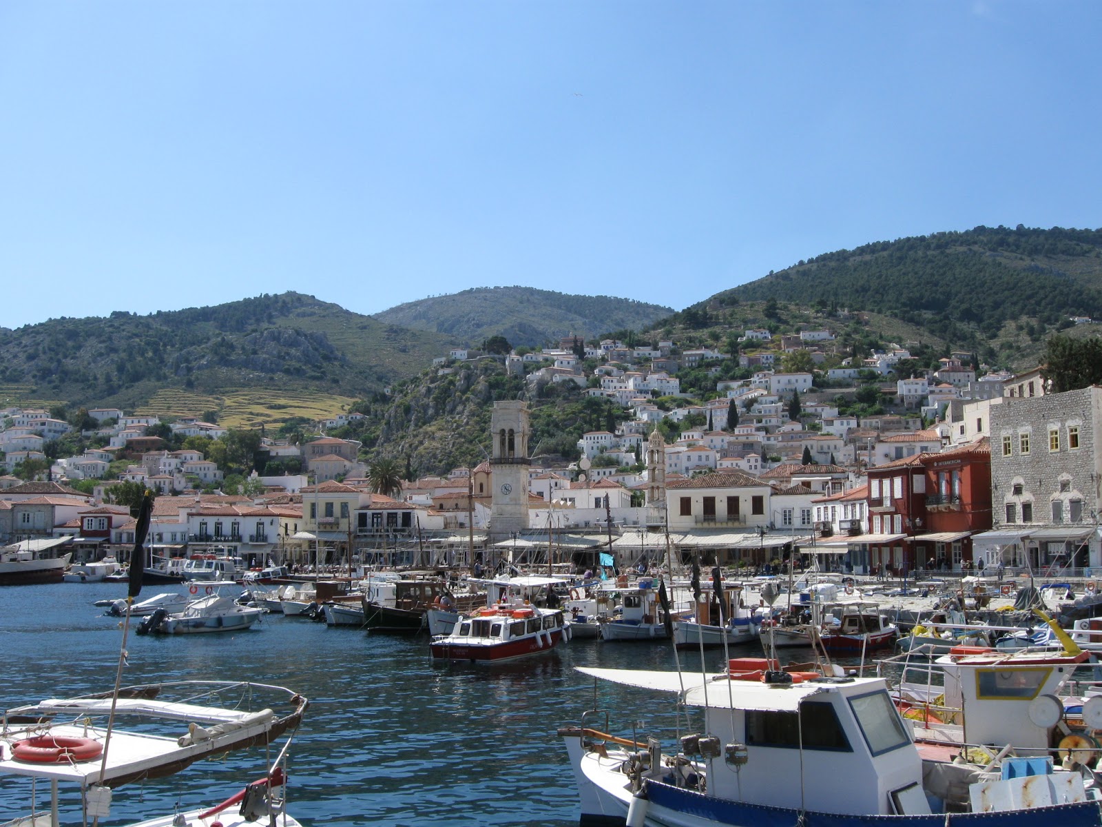 Word of Mouth: Hydra, for Fans of the Color Blue