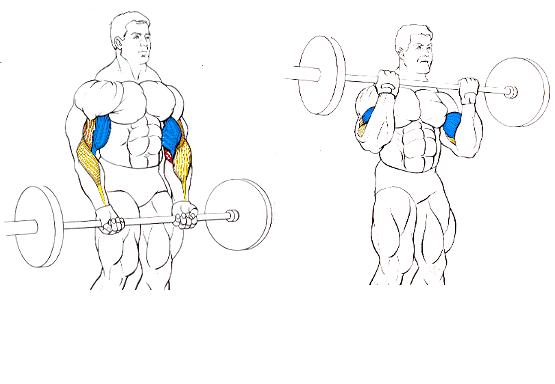 Blog de Culturismo y Nutrición Deportiva - Diario de un Culturista ...