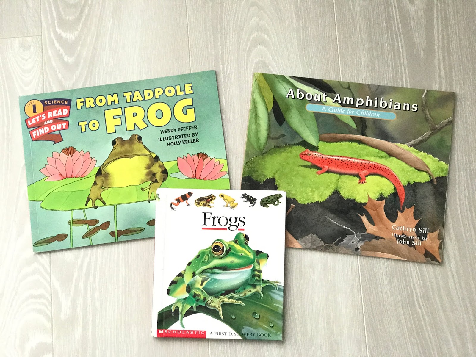Life Cycle of a Frog Learning Activities | The Pinay Homeschooler