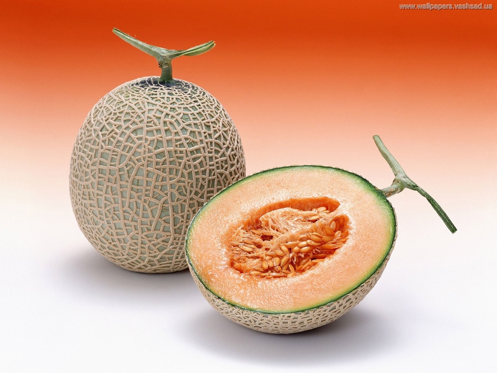 Melones wallpapers