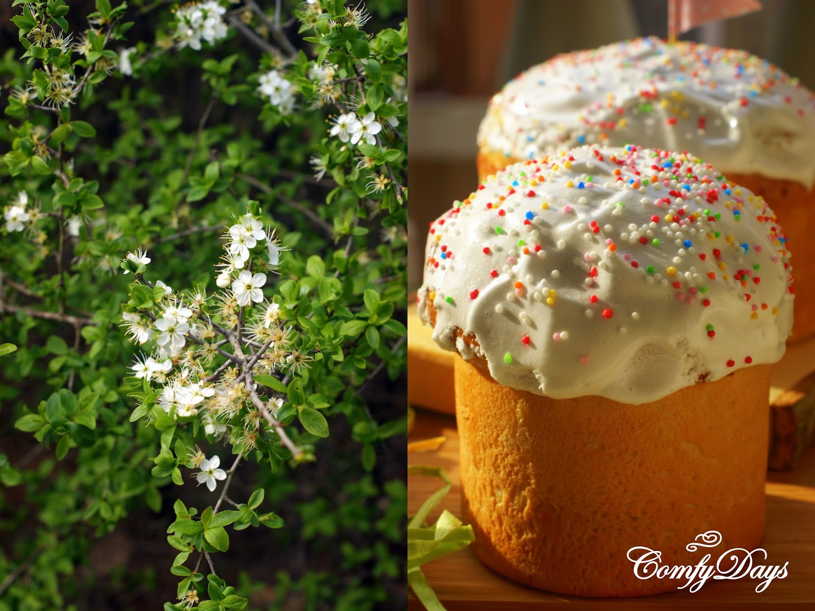 "Paska" Russian Easter bread for our yearly Easter brunch...