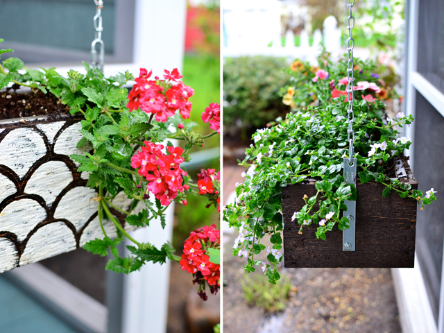 RedBirdBlue: Painted Pattern Window Boxes