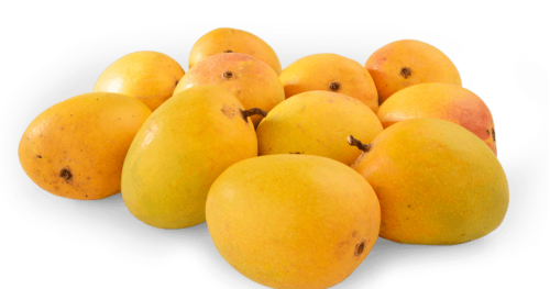 Jivabhumi - Organic Food Store: Amazing Health Benefits of Mangoes for ...