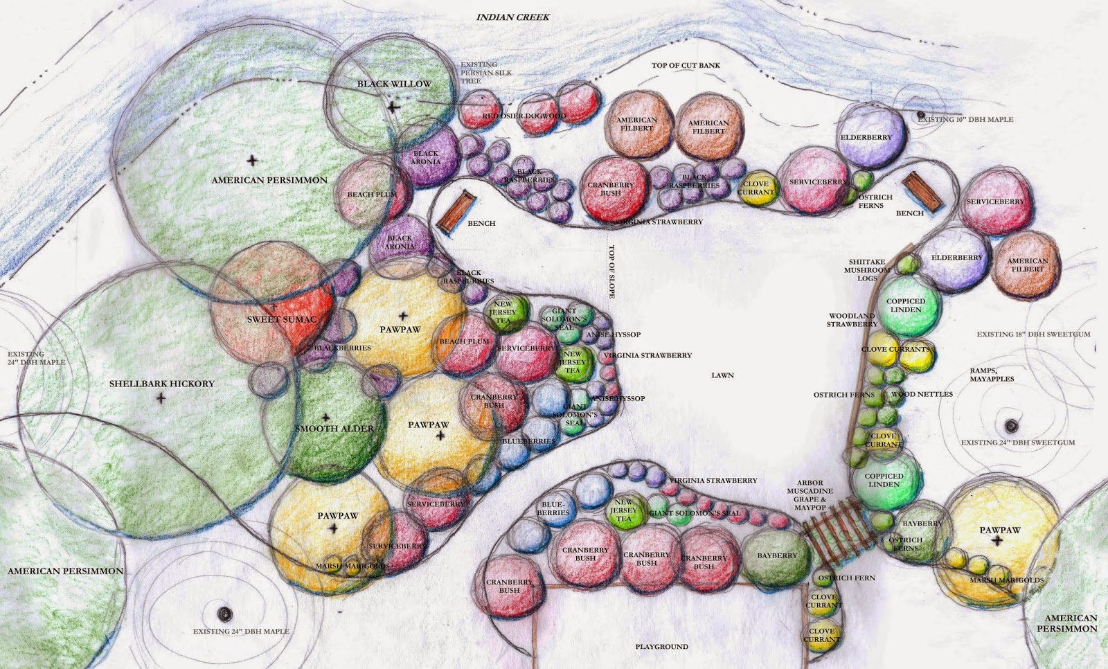 Examples Of A Food Forest Plan