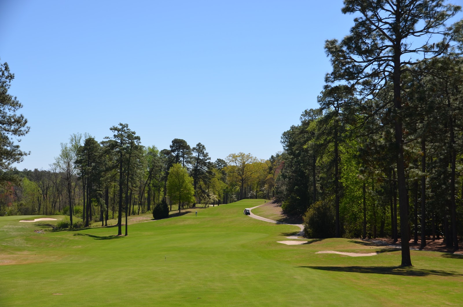 Pine 2 Palm 2016: Pinehurst Number 7