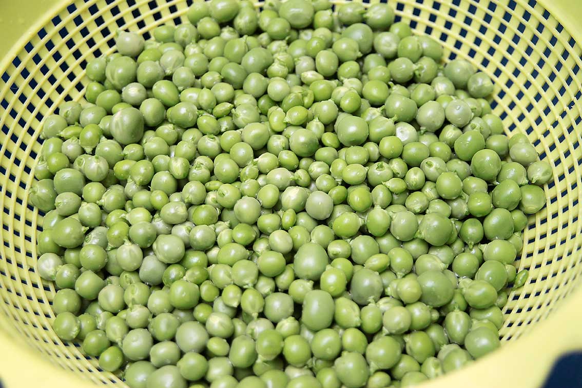 Arvejas de la huerta