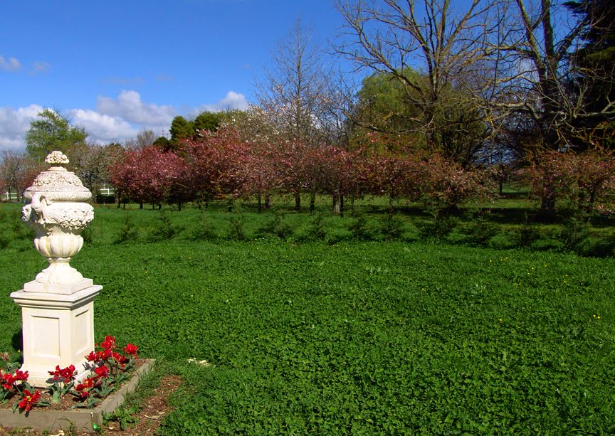 Willowbrook Park: Spring is Here...