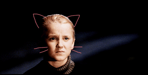 [Chat] Conservati prin gif-uri