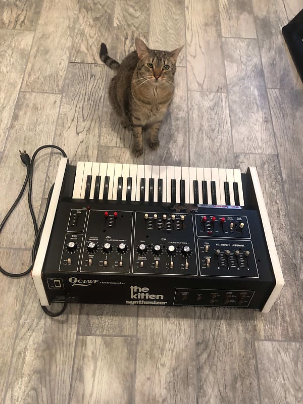 MATRIXSYNTH: Octave Kitten Roar