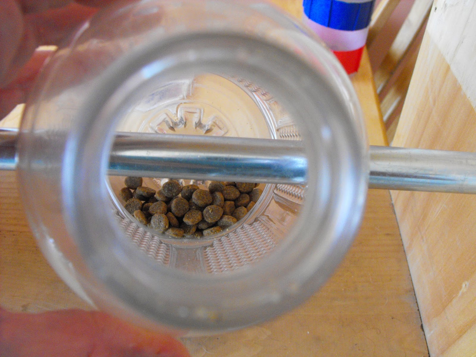 Raising Cinder, a Border Collie Puppy: Spinner Bottle Treat Toy-Cinder ...