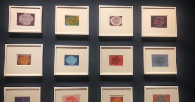 Mali Morris RA: On Paper