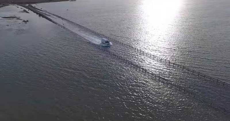 Nothing To Do With Arbroath: Foolish motorists filmed driving across ...