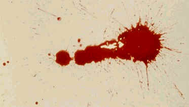 CSIence;: Blood Spatter Analysis