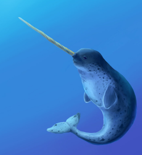 Ini 10 Fakta Menarik Tentang Tentang Arktik (Kutub Utara)! - News & Tips