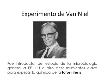 Diapositivas, "Experimento de Van Niel"