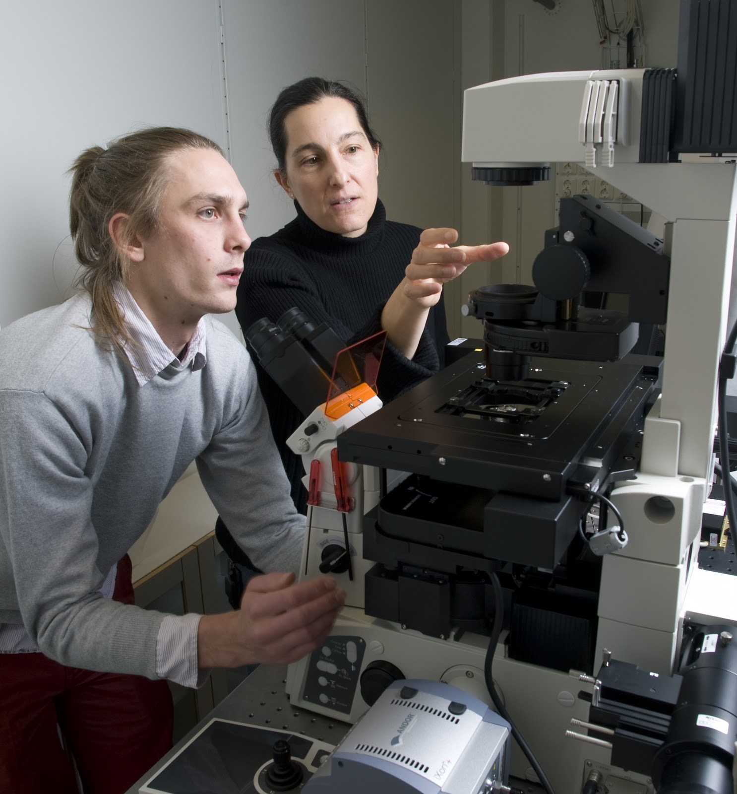 ah, mephistophelis.: And Vat Grown Meat,Its Hour Come Round At Last, Is ...