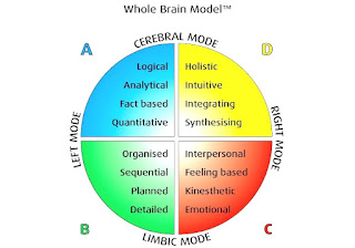 Herrmann Brain Dominance Instrument - Whole Brain Learning Theory