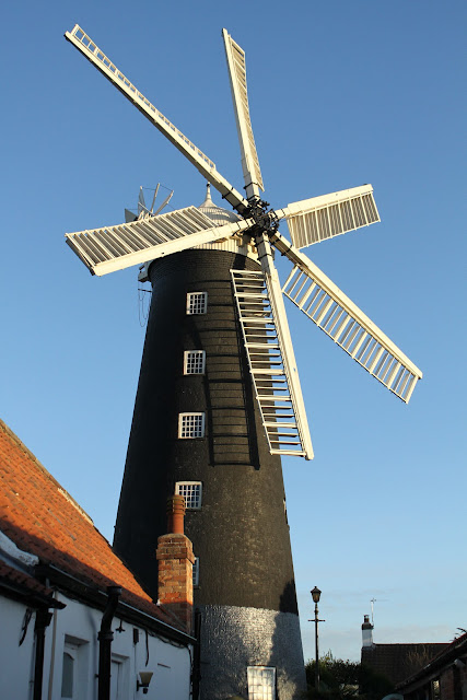 Anthony Bentley Wildlife Photography: Waltham Windmill