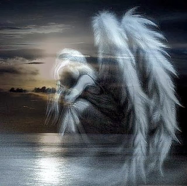 Upadły Anioł: Upadłe Anioły