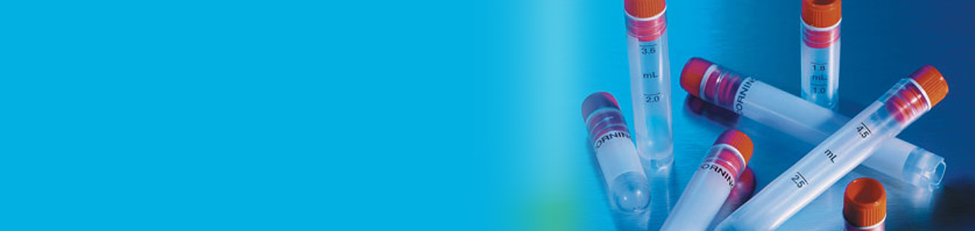 EGG,Oocyte Cryopreservation, Egg freezing Treatment at SWCIC