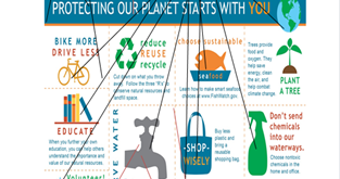 visual image that incorporates at least 3 design elements and 3 design ...