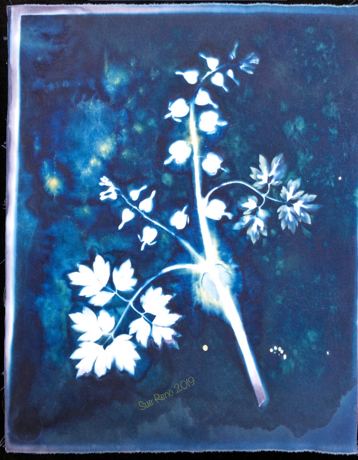 Sue Reno Studio: Experiments in wet cyanotype - part 37