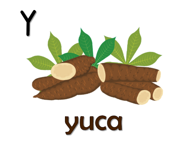 EL ABC CON QR: Con la Y de Yuca