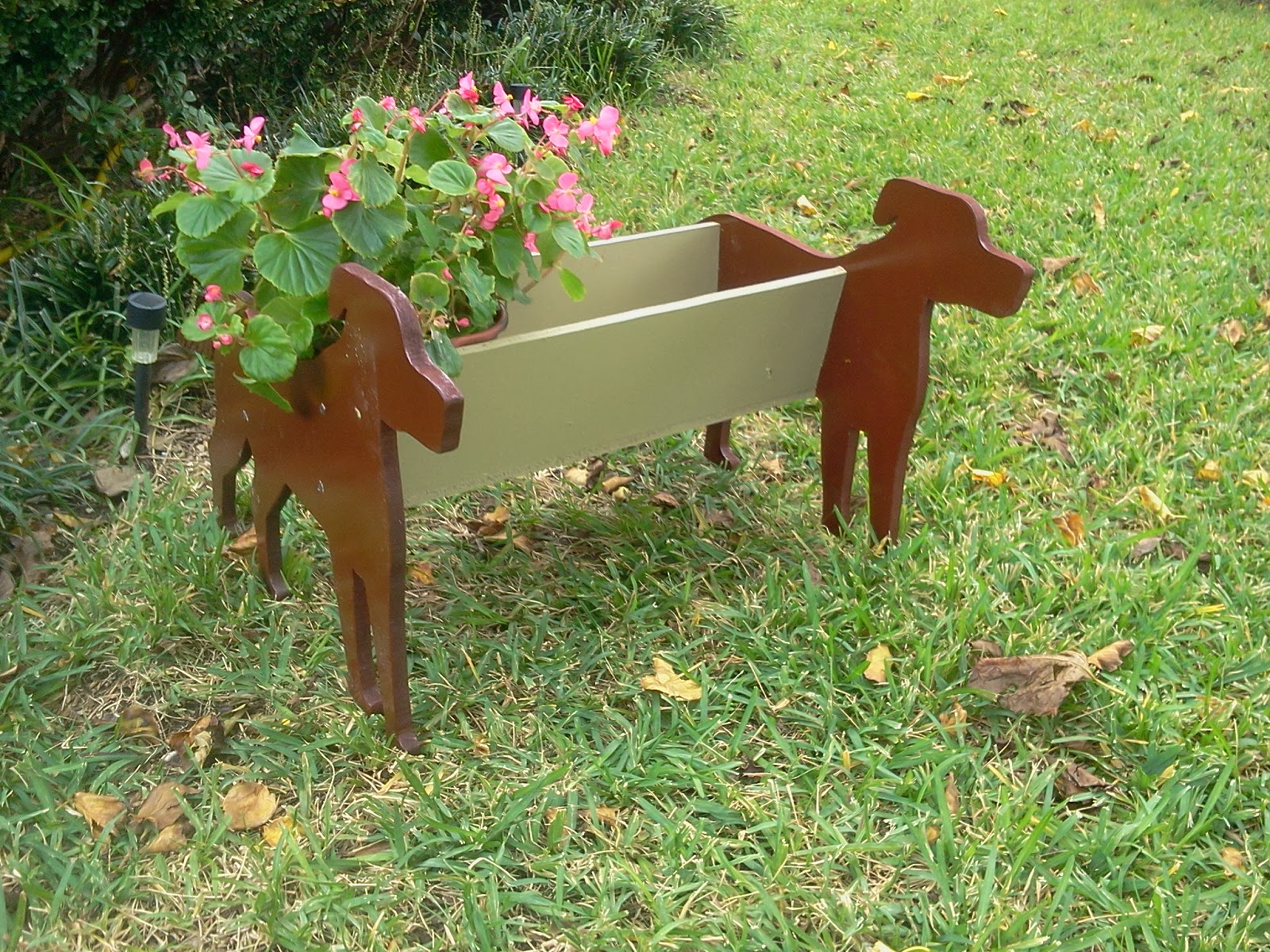 pampered pets and pals