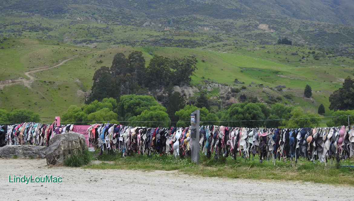 Travel Tales (LindyLouMac's World in Photos): Cardrona Bra Fence ...