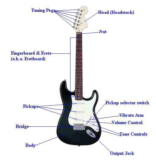 New Best Guitar: Electric Guitars Introduction and Tips