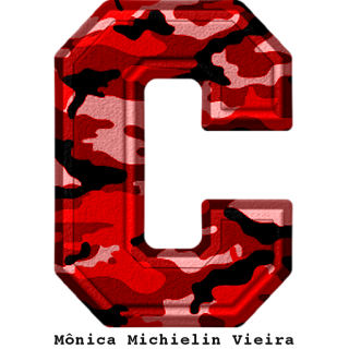 Camouflage Free Png : RED CAMOUFLAGE ALPHABET PNG, ALFABETO CAMUFLADO ...