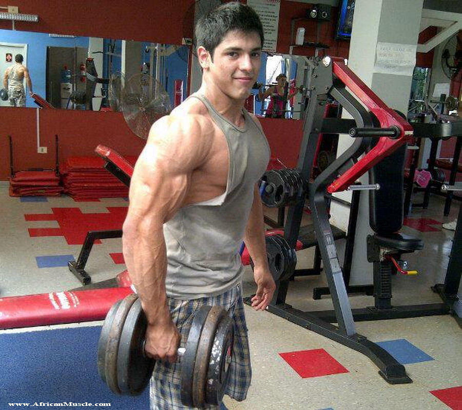 the beauty of male muscle: Romaine