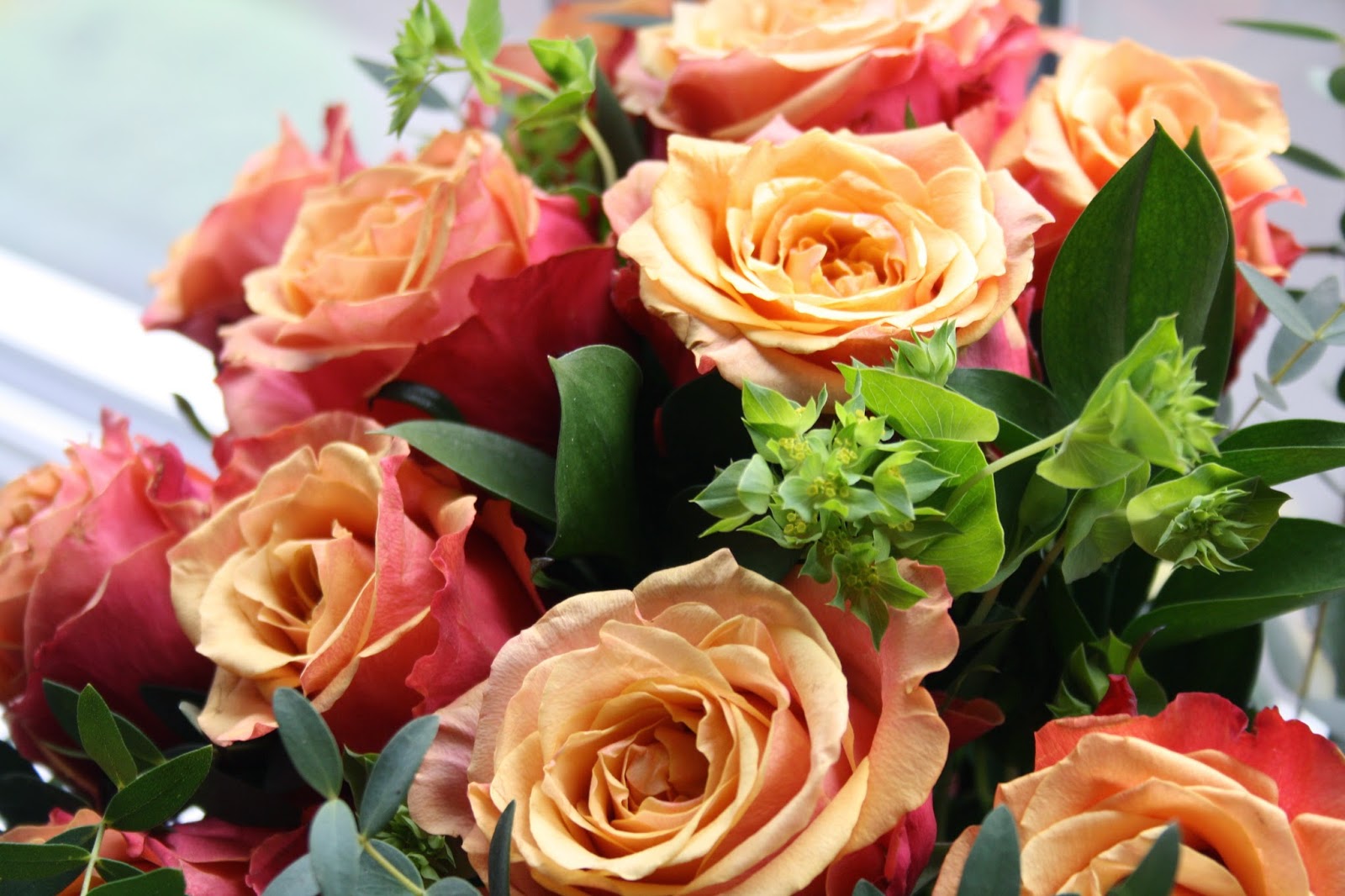 LIFESTYLE: Two Tone Roses From Appleyard London / Georgina Does
