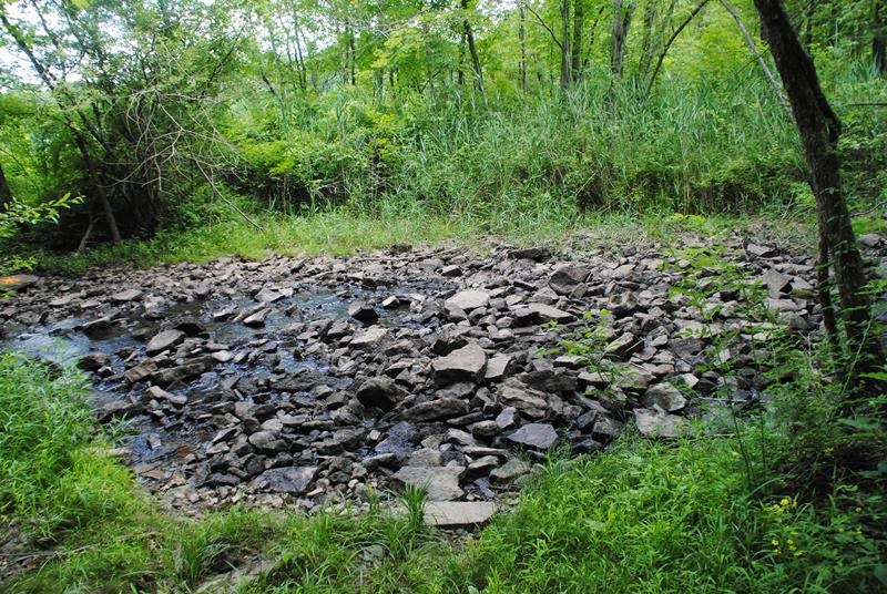 Southeastern PA Hiking: Lake Towhee County Park