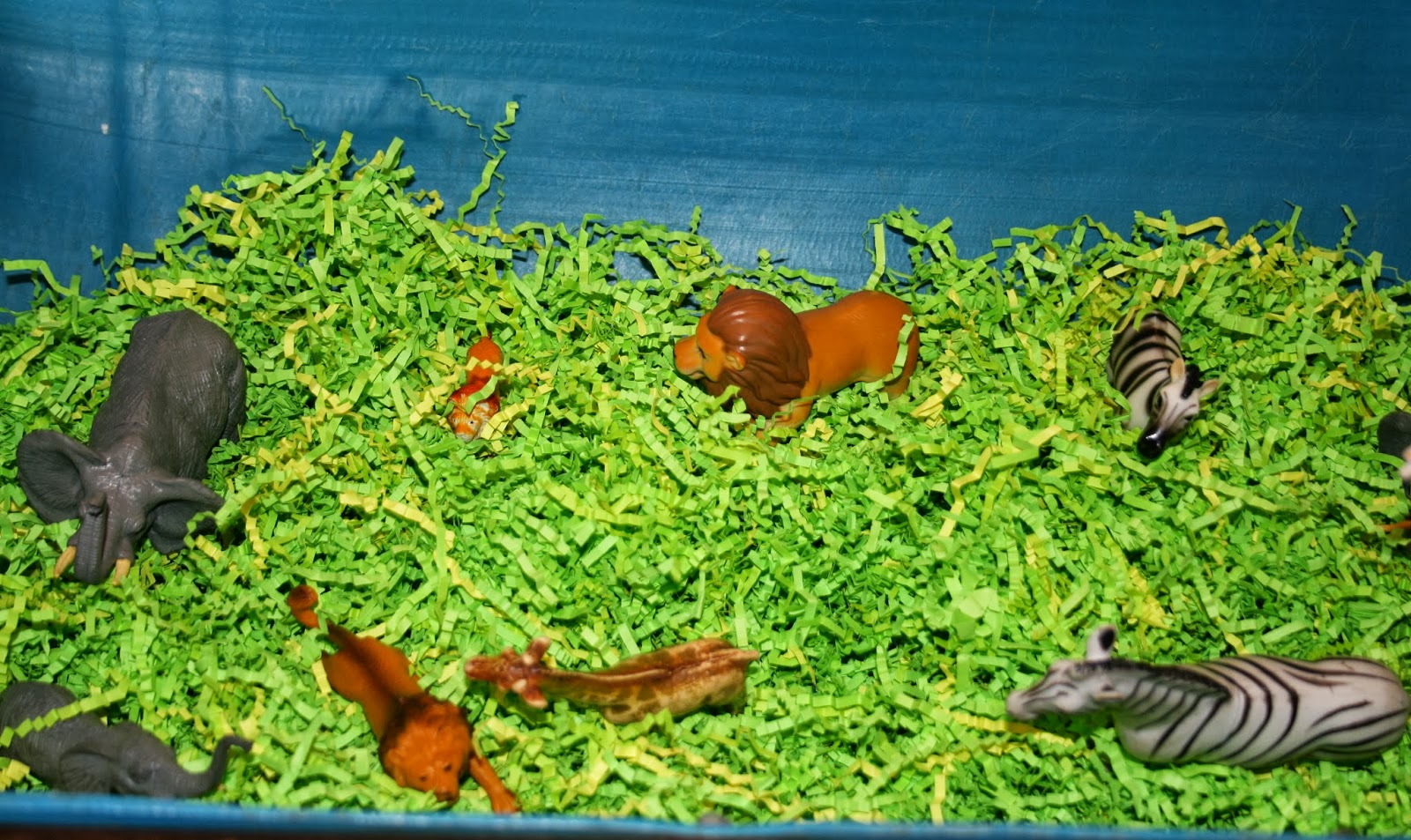 Nancy Nolan's Kindergarten: Letter Z Week