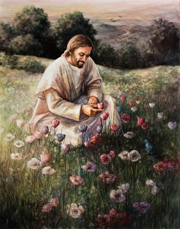 Dig Deeper: Lilies & Bether