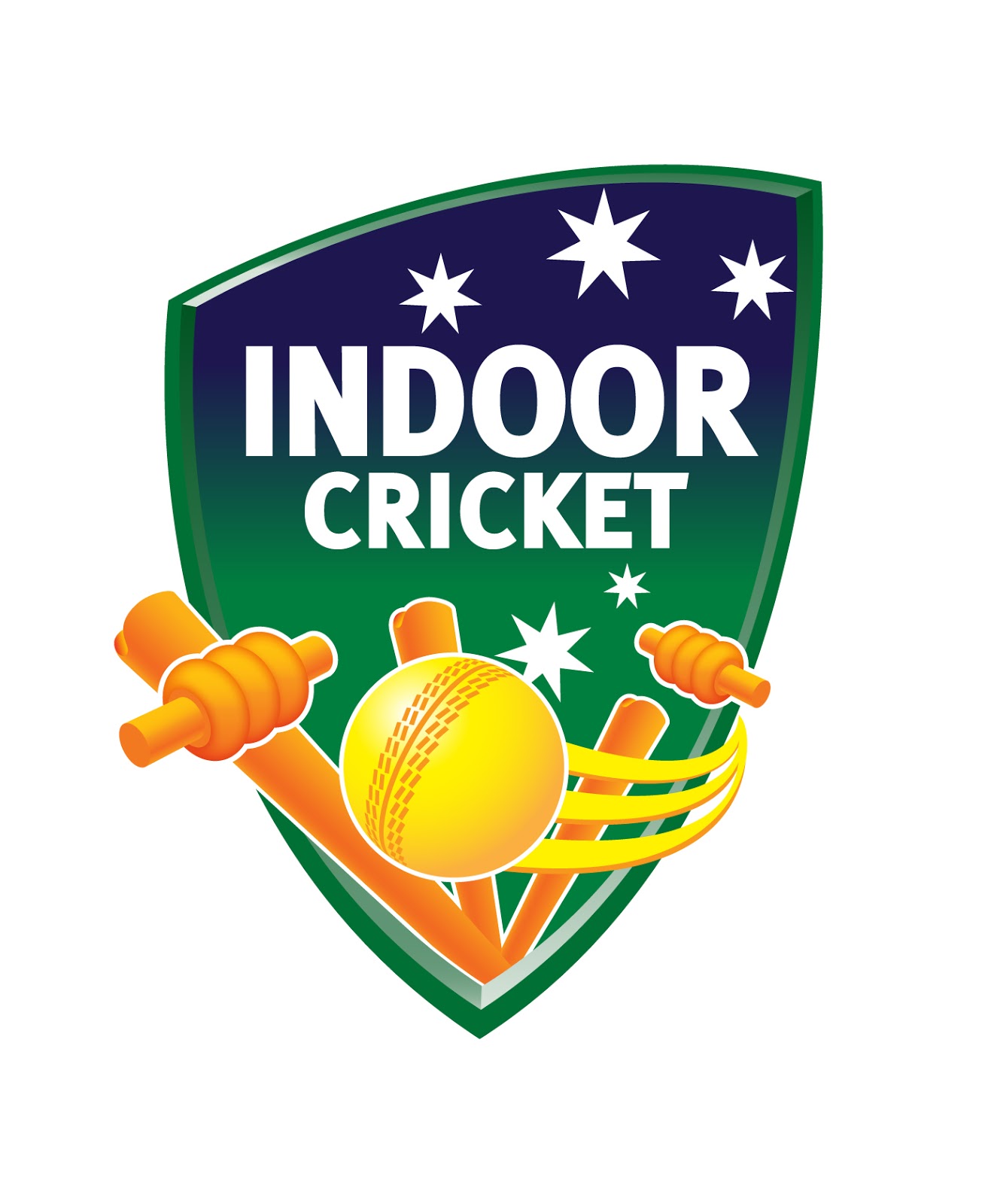 The Holiday And Travel Magazine Junior Indoor Cricket Championships the-holiday-and-travel-magazine-junior-indoor-cricket-championships