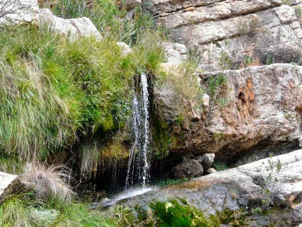 LUIS LÓPEZ PUNTO COM: CHERA: Barranco de la Hoz y Embalse del Buseo