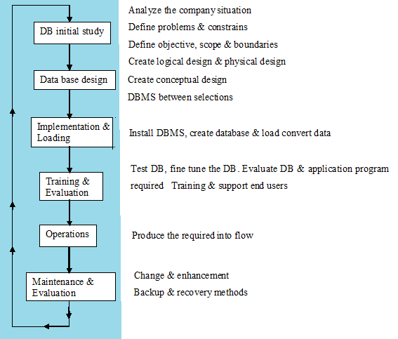 Explain the Database Life Cycle (DBLC)? | Computers Professor
