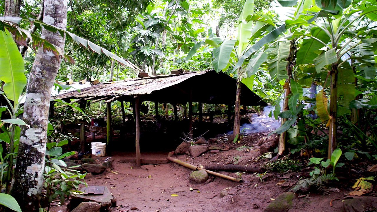 La Guayana Esequiba: Venezolanos escondidos en la selva le piden al ...