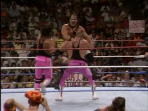 Wrestlemania para siempre: SummerSlam (1990)