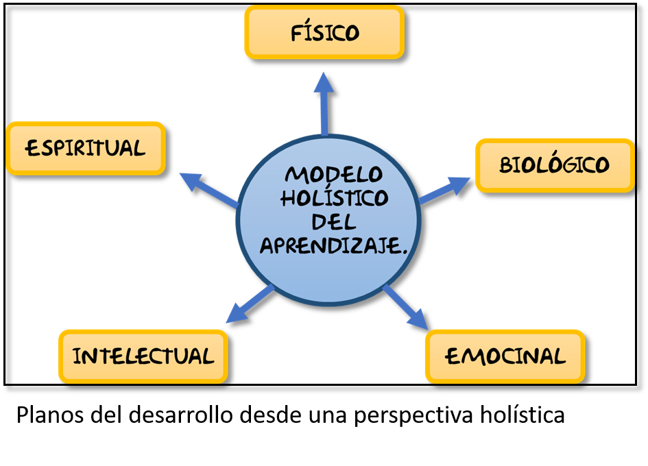 ESTRATEGIAS Y ESTILOS DE APRENDIZAJE: MODELO HOLÍSTICO DE APRENDIZAJE