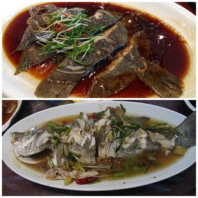 ANGLING WORLD 魔魚釣界: Monster Fish in China - Yellow Cheek!!