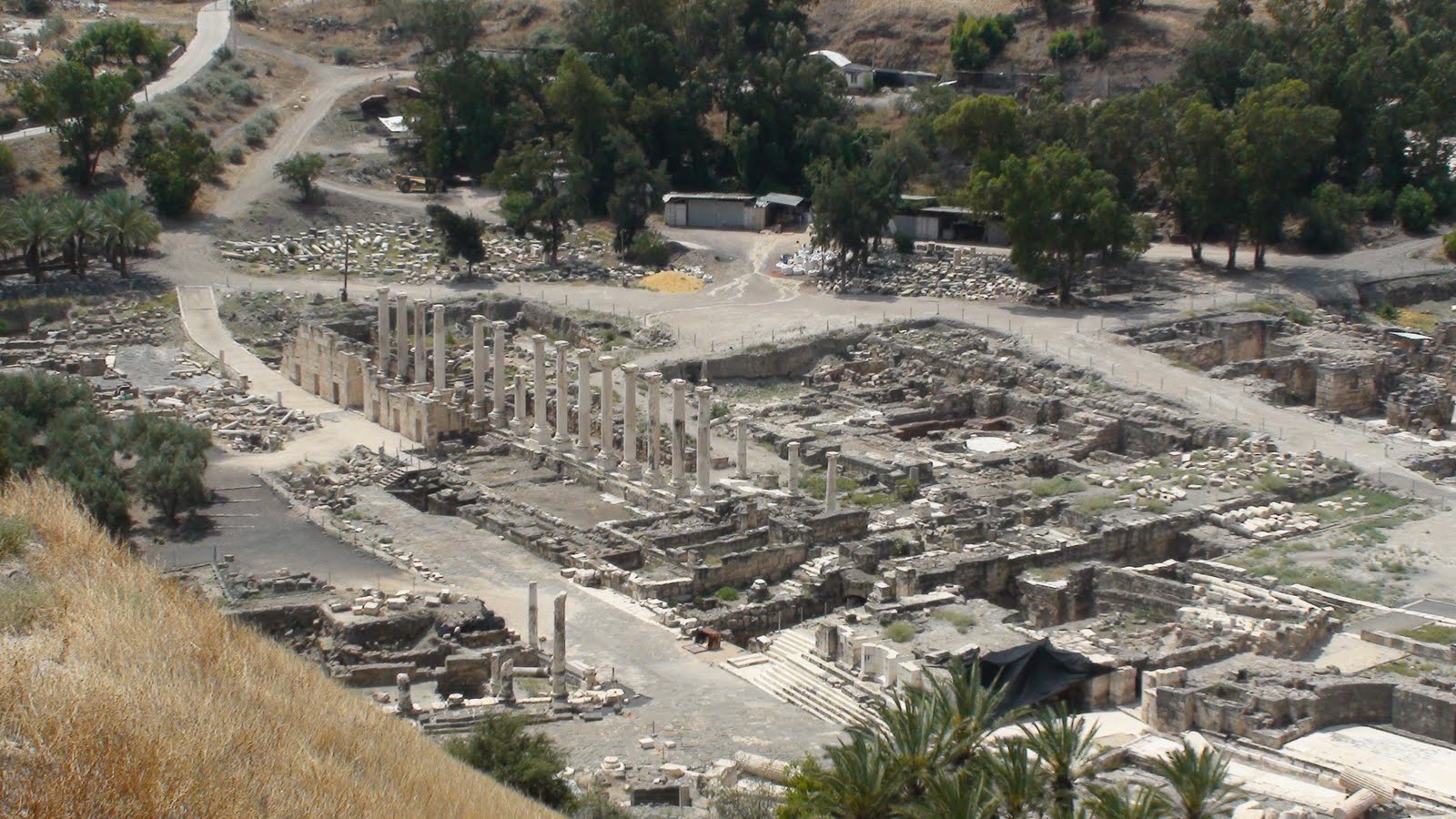 Holy Land Trip 2011: Betshean, Scythopolis, and Jericho