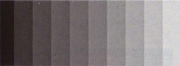 The Magic of Makeup: Colour Theory and Makeup Looks