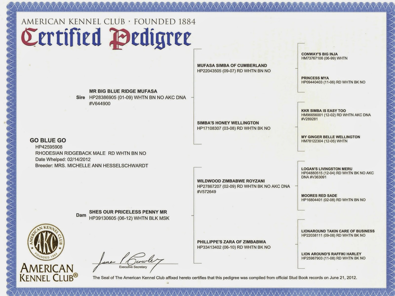 MR Ridgebacks: Our Ridgeback Family