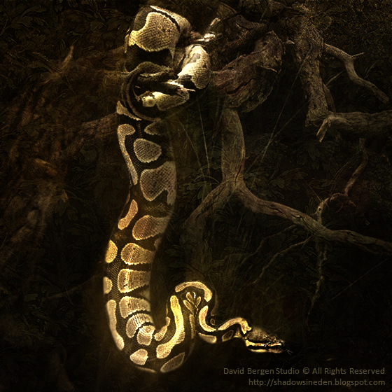 Shadows in Eden: Adam: The God who Failed